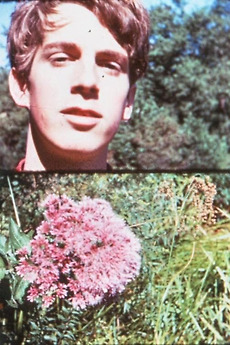 ‎Dan Potter (1968) directed by Fred Camper • Reviews, film + cast ...