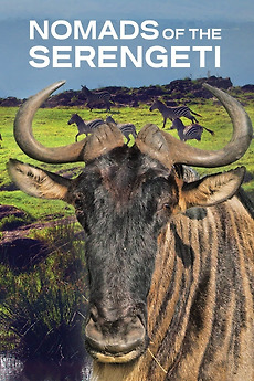 ‎Nomads of the Serengeti (2015) • Film + cast • Letterboxd