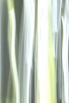 ‎UNDRINKABLE WATER (2002) directed by Keiji Aiuchi • Film + cast ...