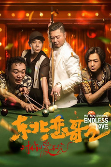 ‎The Northeastern Bro 2: Endless Love (2023) directed by Janet Chun Siu ...