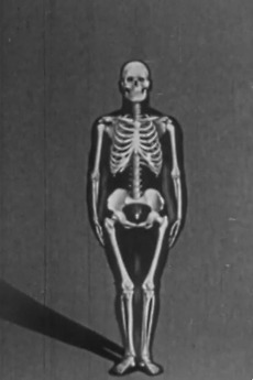 ‎Human skeleton, structure and joints - Part I (1951) directed by Beryl ...