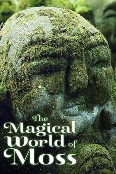 ‎The Magical World of Moss (2023) directed by Bruno Victor-Pujebet ...