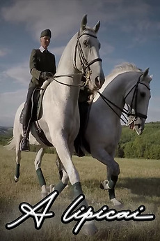 ‎A lipicai (2016) directed by András Pintér • Film + cast • Letterboxd