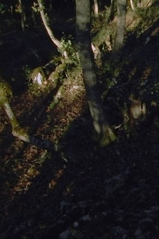 ‎Akra (2017) directed by Devin Horan • Film + cast • Letterboxd