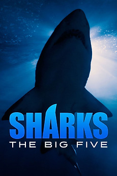 ‎Sharks - The Big Five (2013) • Reviews, film + cast • Letterboxd