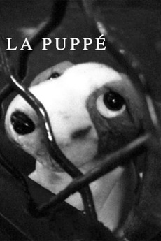 ‎La Puppé (2003) directed by Timothy Greenberg • Reviews, film + cast ...