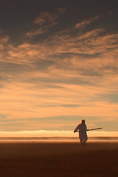 ‎Fencing (2007) directed by Sigtryggur Baldursson • Film + cast ...