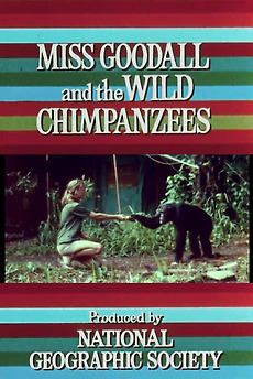 ‎Miss Goodall and the Wild Chimpanzees directed by Marshall Flaum ...