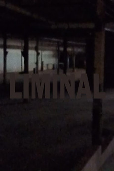 ‎liminal (2023) directed by Sebastian Taylor • Film + cast • Letterboxd