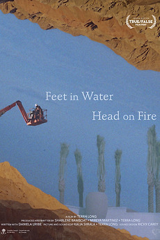 ‎Feet in Water, Head on Fire (2023) directed by Terra Long • Reviews ...