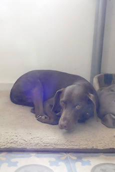 ‎Olive (2021) directed by Nico Samson • Reviews, film + cast • Letterboxd