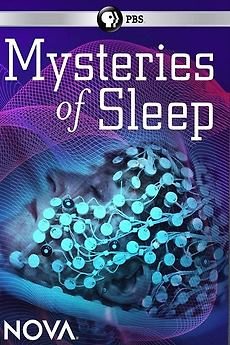 ‎Mysteries of Sleep • Film + cast • Letterboxd