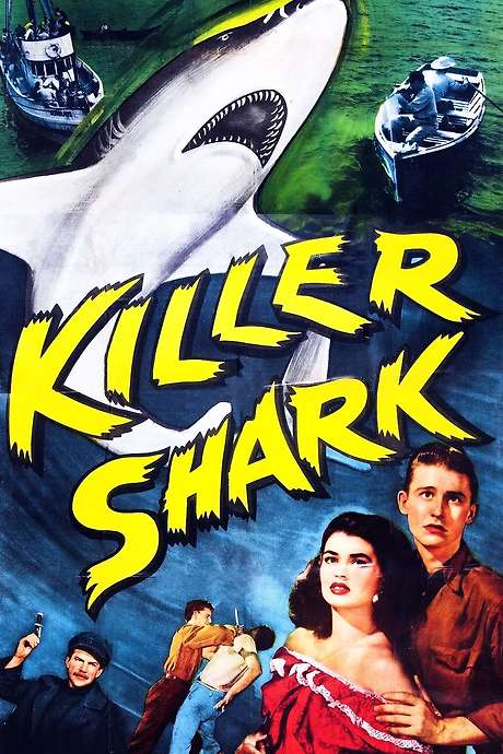 ‎Killer Shark (1950) directed by Budd Boetticher • Reviews, film + cast ...