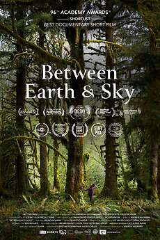 ‎Between Earth & Sky (2023) directed by Andrew Nadkarni • Reviews, film ...