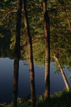 ‎Light’s Return (2023) directed by Kathleen Rugh • Reviews, film + cast ...