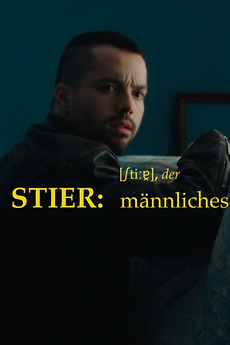 ‎Stier (2023) directed by Tim Oppermann • Reviews, film + cast • Letterboxd