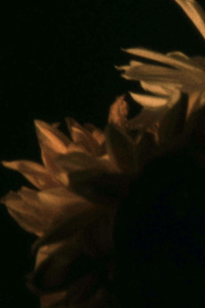 ‎passages (2023) directed by Blanca García • Reviews, film + cast ...