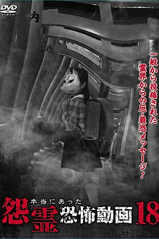 ‎Real Vengeful Ghost Horror Video 18 (2016) directed by Kenichi Aikawa ...