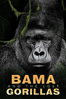 ‎Bama and the Lost Gorillas (2011) directed by Ernst Sasse, Nicky ...