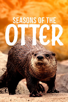‎Seasons of the Otter (2021) • Film + cast • Letterboxd