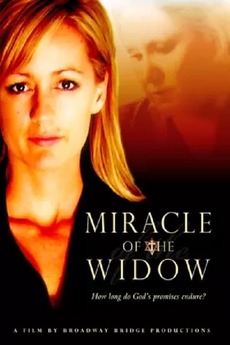 ‎Miracle of the Widow (2009) directed by Paul Stoos • Film + cast ...