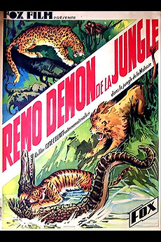 ‎Devil Tiger (1934) directed by Clyde E. Elliott • Film + cast • Letterboxd