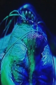 ‎Seed (2004) directed by Bennett Cain • Film + cast • Letterboxd