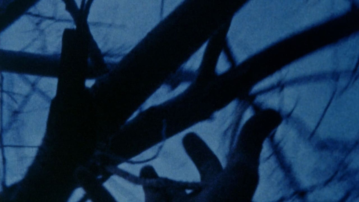 ‎Anticipation of the Night (1958) directed by Stan Brakhage • Reviews ...