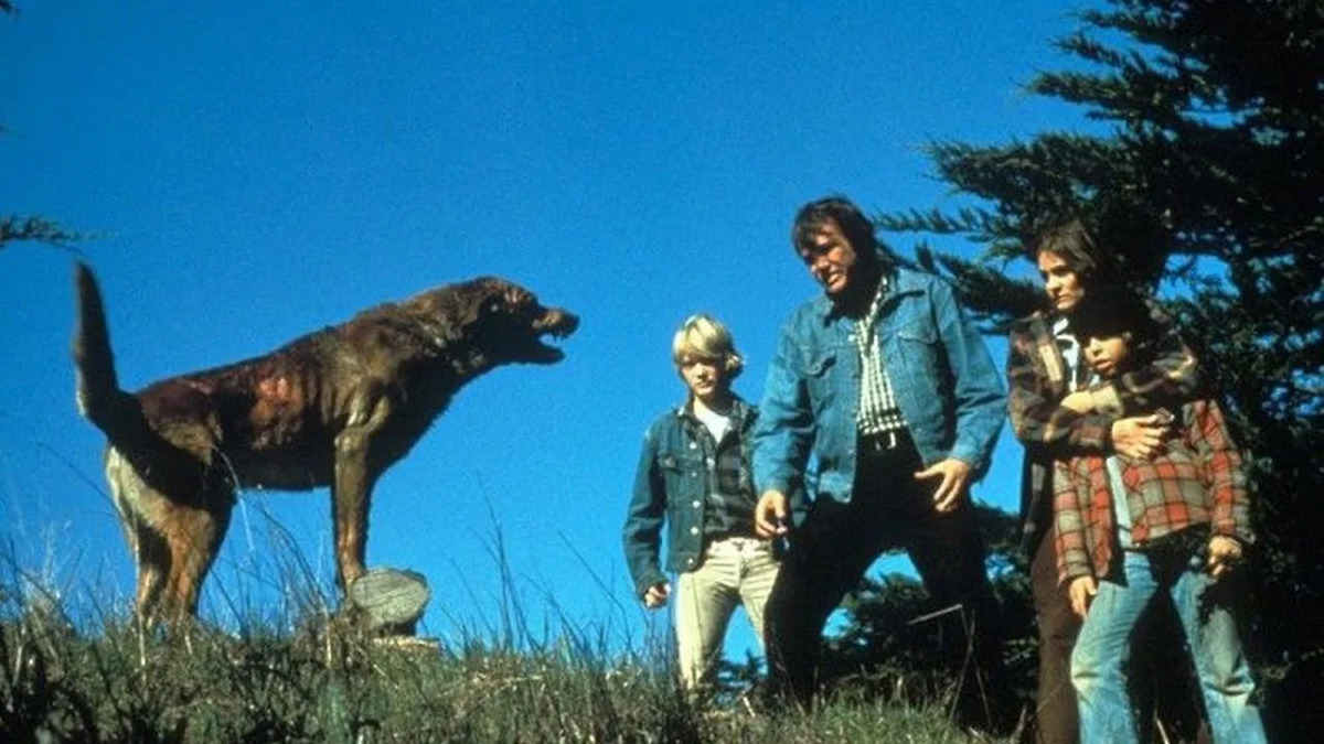 ‎The Pack (1977) directed by Robert Clouse • Reviews, film + cast ...