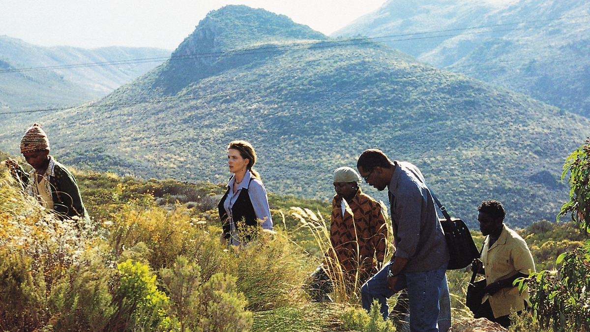 ‎In My Country (2004) directed by John Boorman • Reviews, film + cast ...