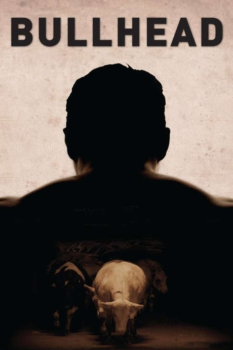 ‎Bullhead (2011) directed by Michaël R. Roskam • Reviews, film + cast ...