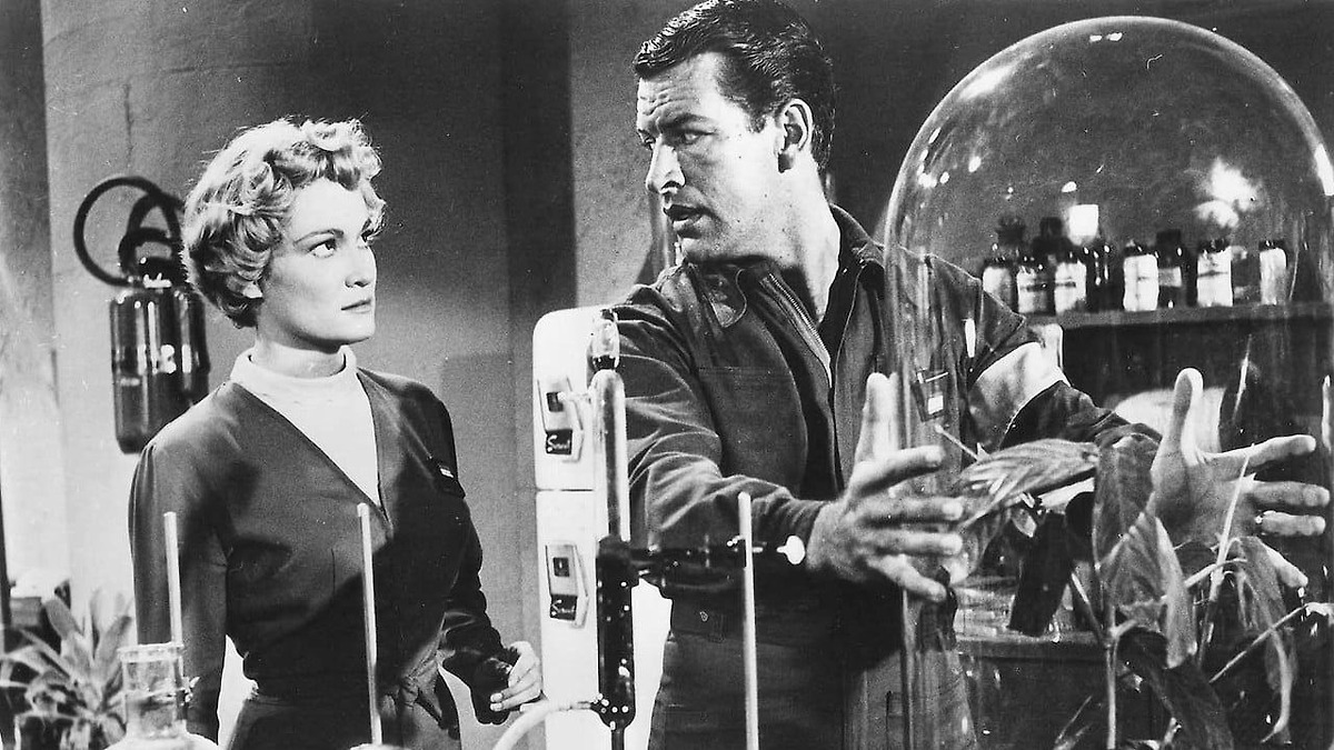 ‎This House Has People in It, a list of films by settima • Letterboxd