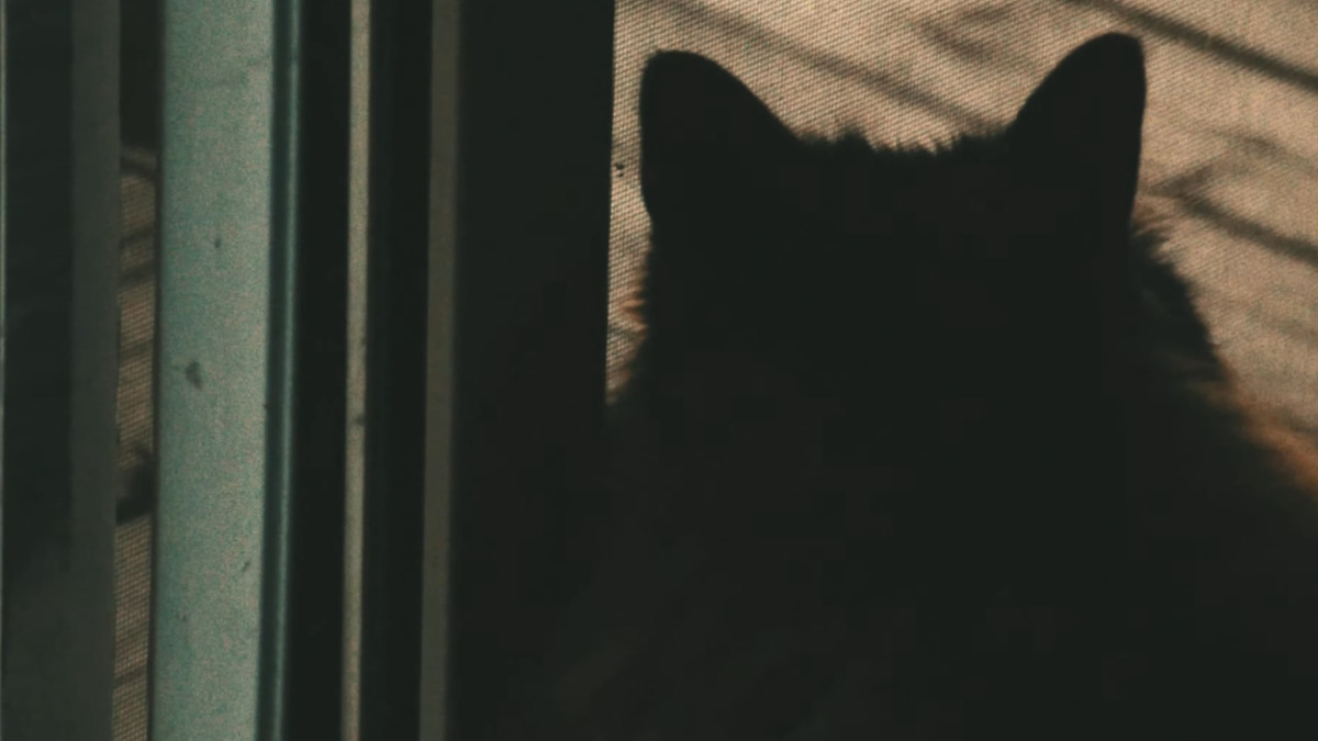 ‎Blinking In Childhood (2022) directed by Jim Couroux • Reviews, film ...