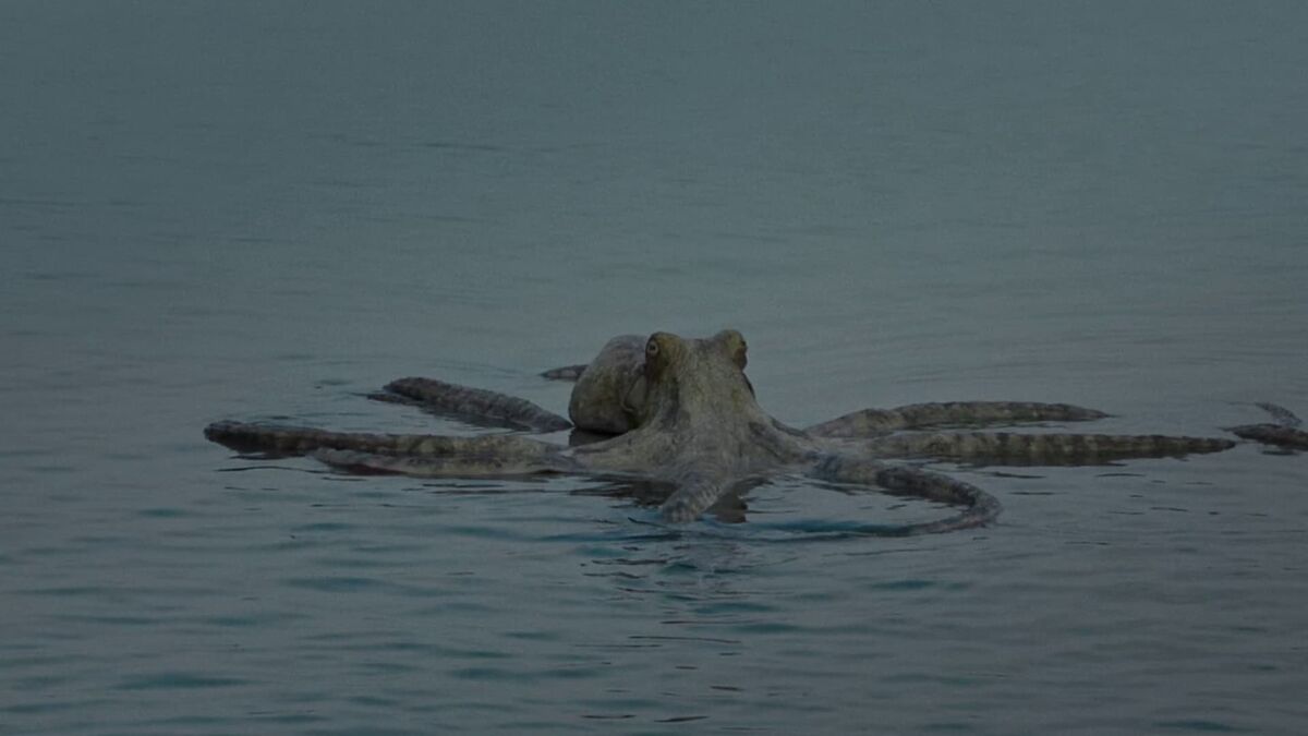 ‎All You Can Eat Buddha (2017) directed by Ian Lagarde • Reviews, film ...