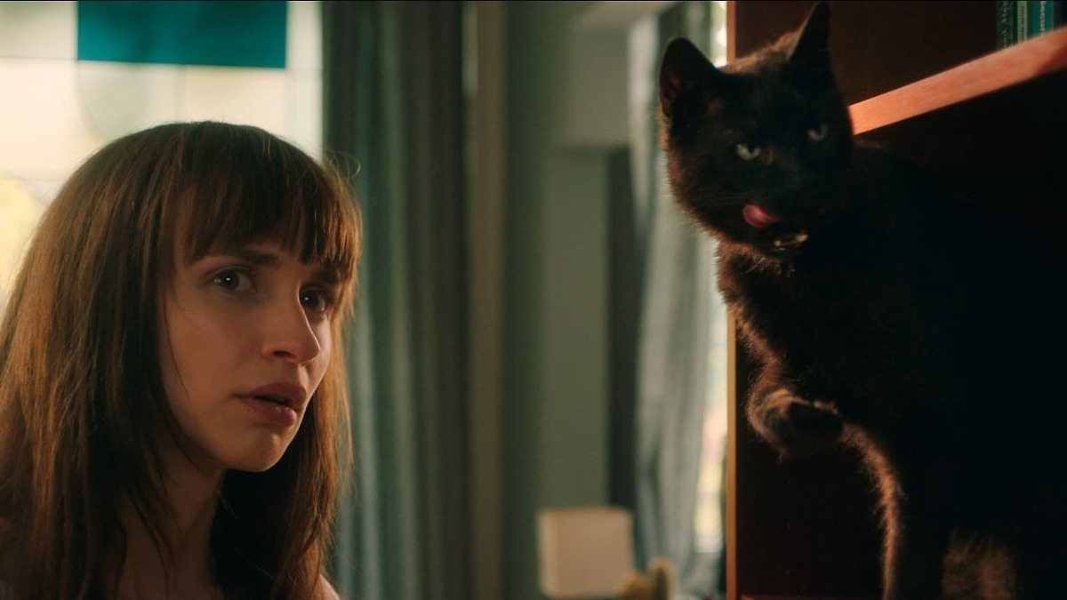 ‎Cat Call (2023) directed by Rozália Szeleczki • Reviews, film + cast ...