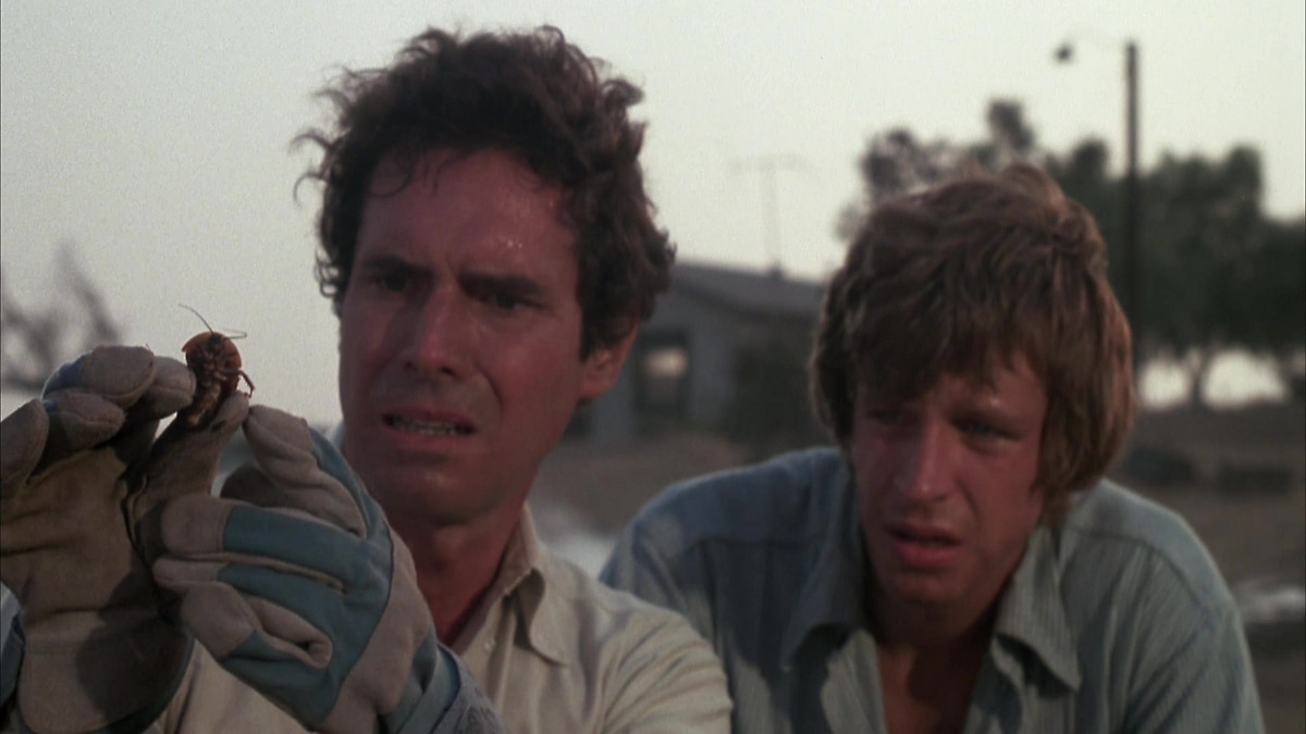 ‎Bug (1975) directed by Jeannot Szwarc • Reviews, film + cast • Letterboxd