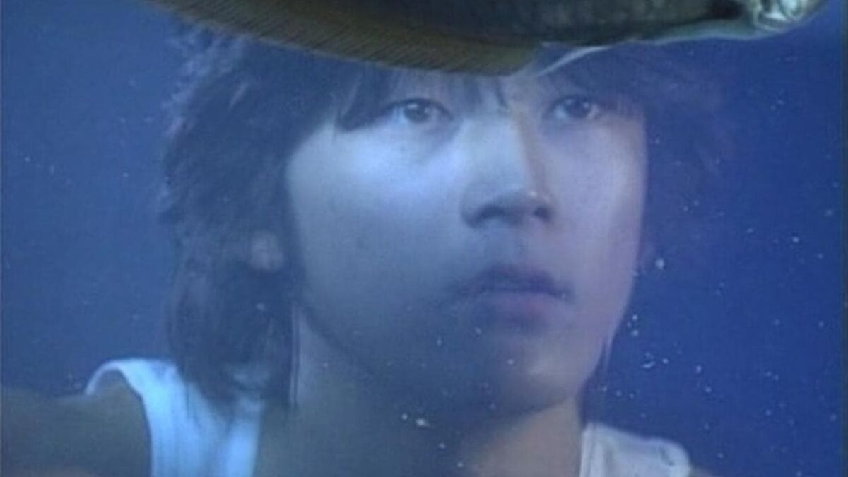 ‎Fried Dragon Fish (1993) directed by Shunji Iwai • Reviews, film ...