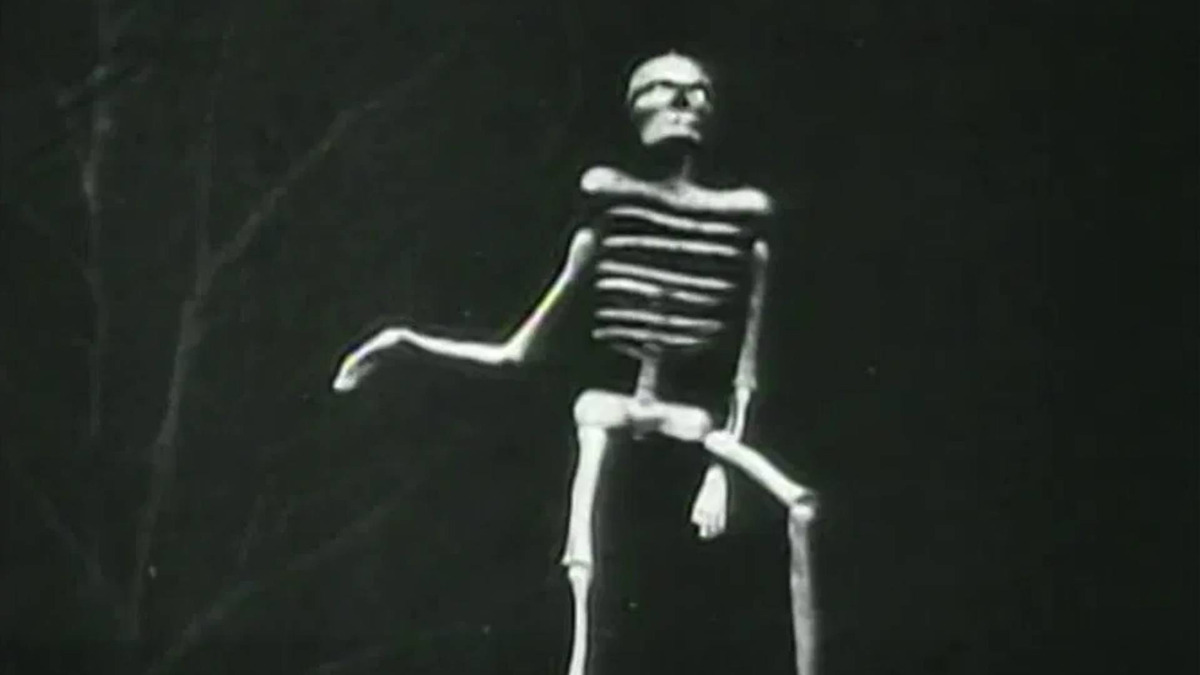 The Dancing Skeleton’ watched by film lover • Letterboxd