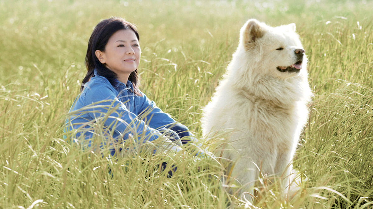 ‎Wasao (2011) directed by Yoshinari Nishikôri • Reviews, film + cast • Letterboxd