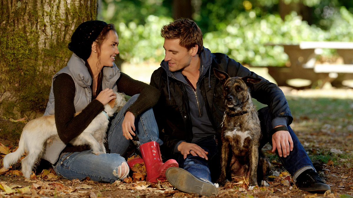 ‎A Bride for Christmas (2012) directed by Gary Yates • Reviews, film ...