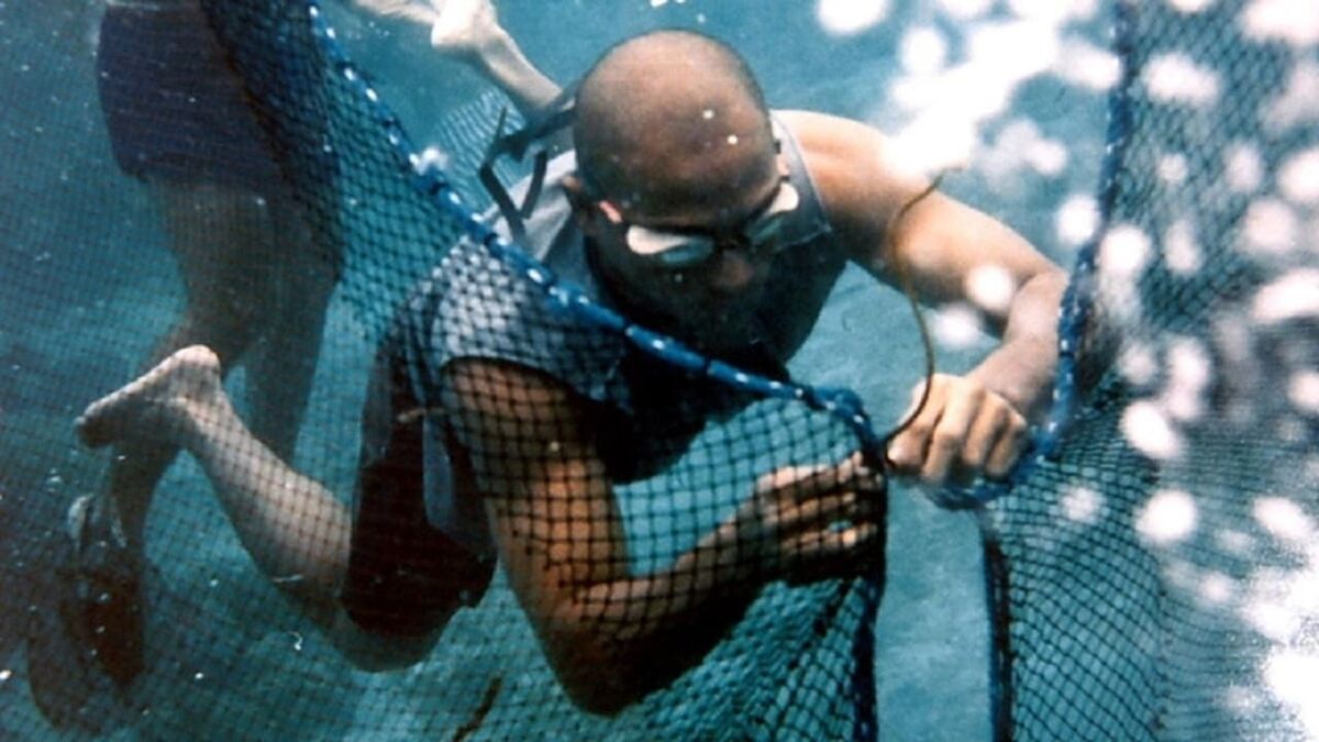 ‎Reef Hunters (1999) directed by Marilou Diaz-Abaya • Reviews, film ...