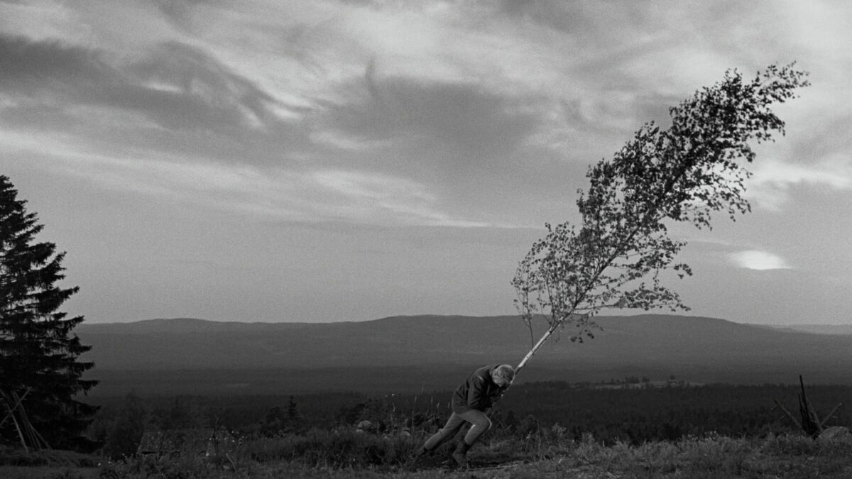 ‎The Virgin Spring (1960) directed by Ingmar Bergman • Reviews, film ...