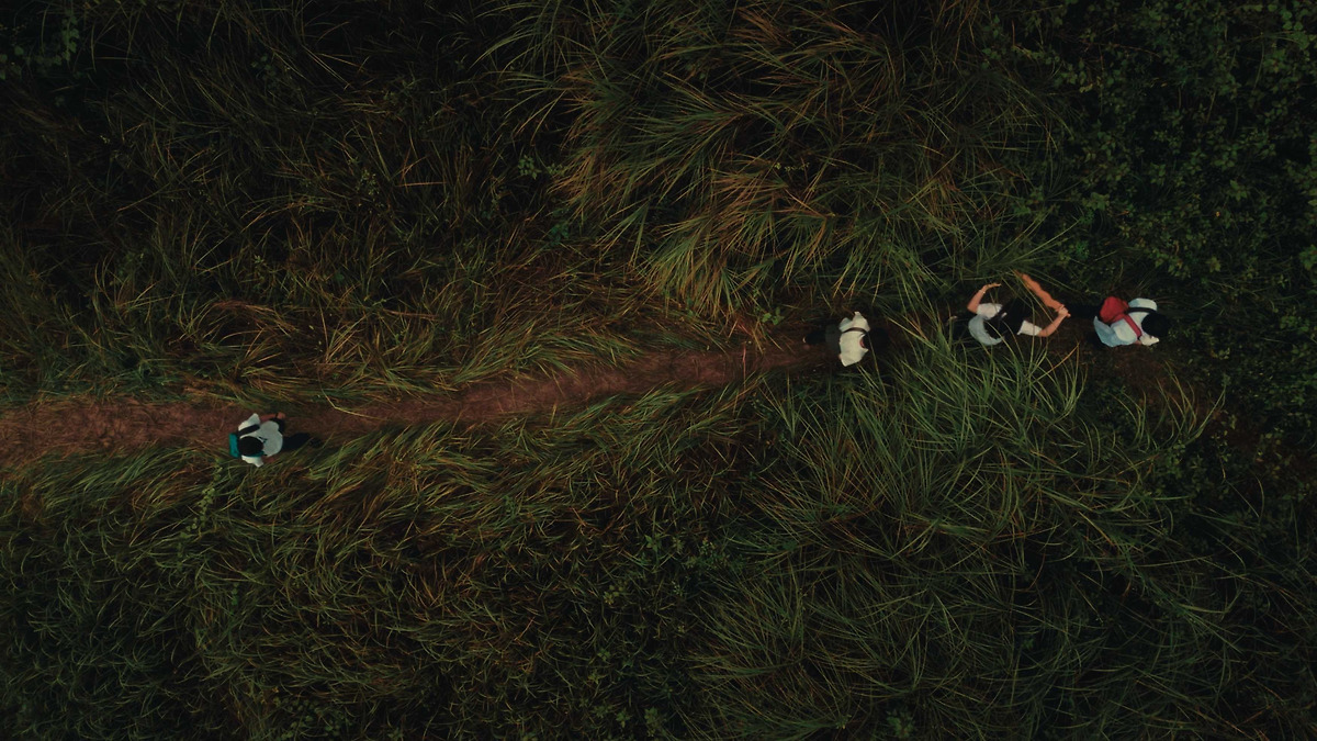 ‎Elephant Paths (2025) directed by Joshua de Vera • Reviews, film ...