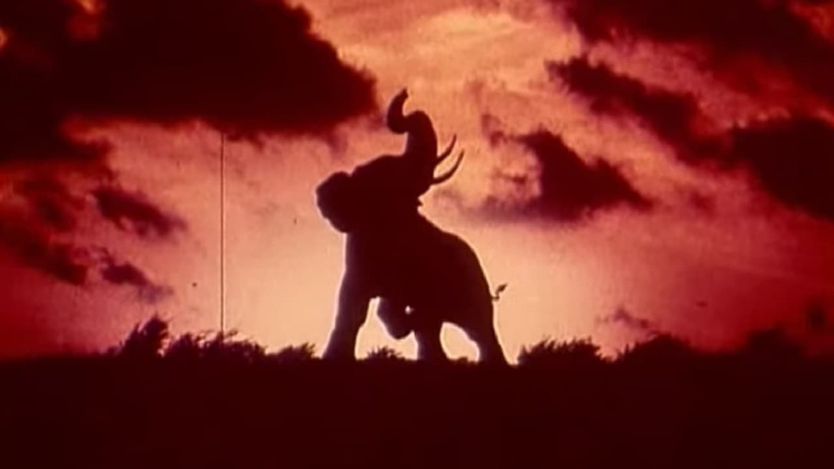 ‎Tusk (1980) directed by Alejandro Jodorowsky • Reviews, film + cast ...