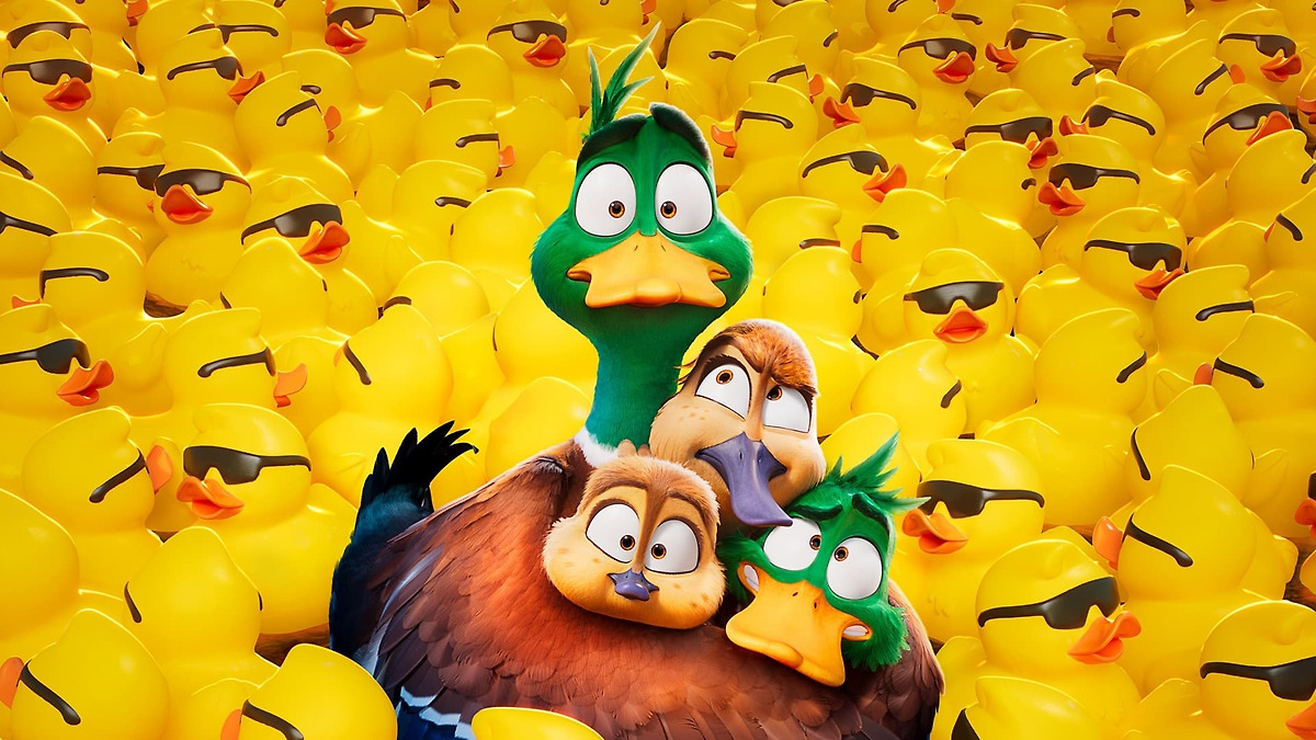 Migration’ review by Writing_Wrongs • Letterboxd