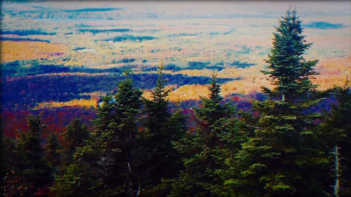 ‎Bigfoot's Bride (2020) directed by Erick Wofford • Reviews, film ...