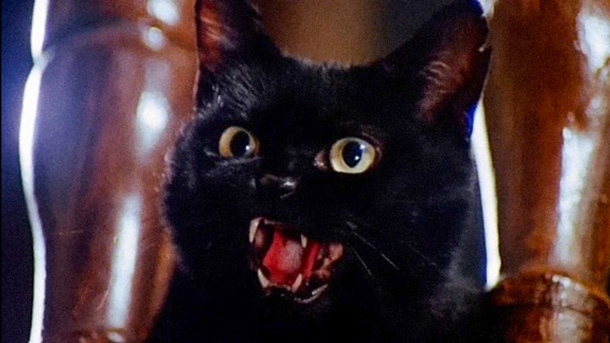 The Uncanny’ review by Cameron Maitland • Letterboxd