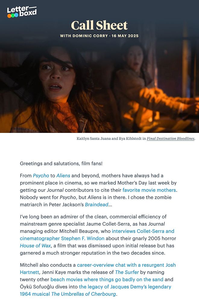 ‎Cat Person: Flow’s Gints Zilbalodis on 2024’s feline favorite and the ...