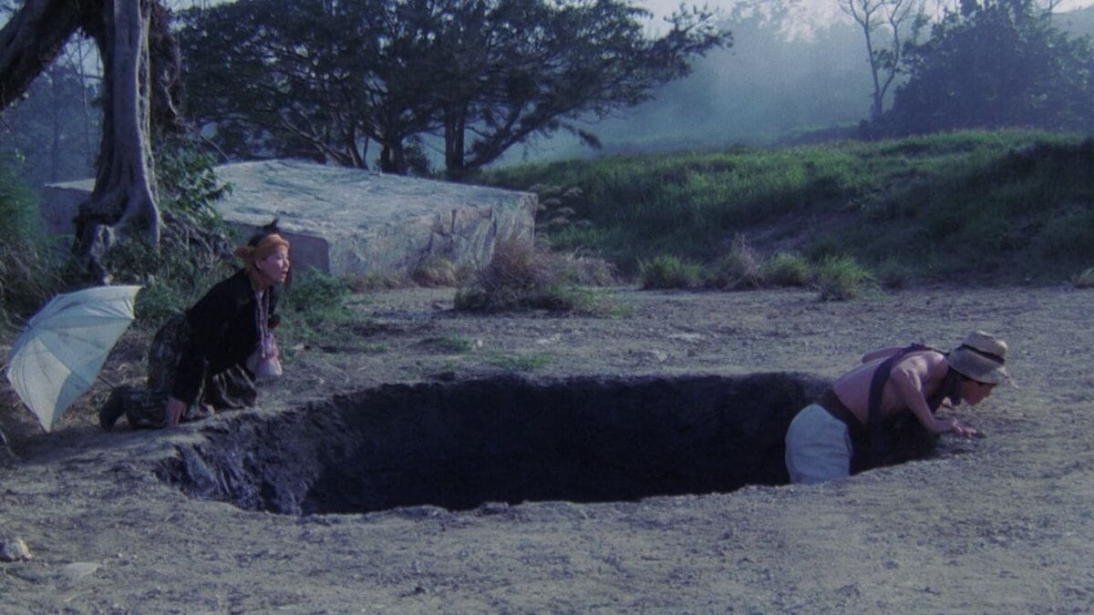 ‎Farewell to the Ark (1984) directed by Shūji Terayama • Reviews, film ...