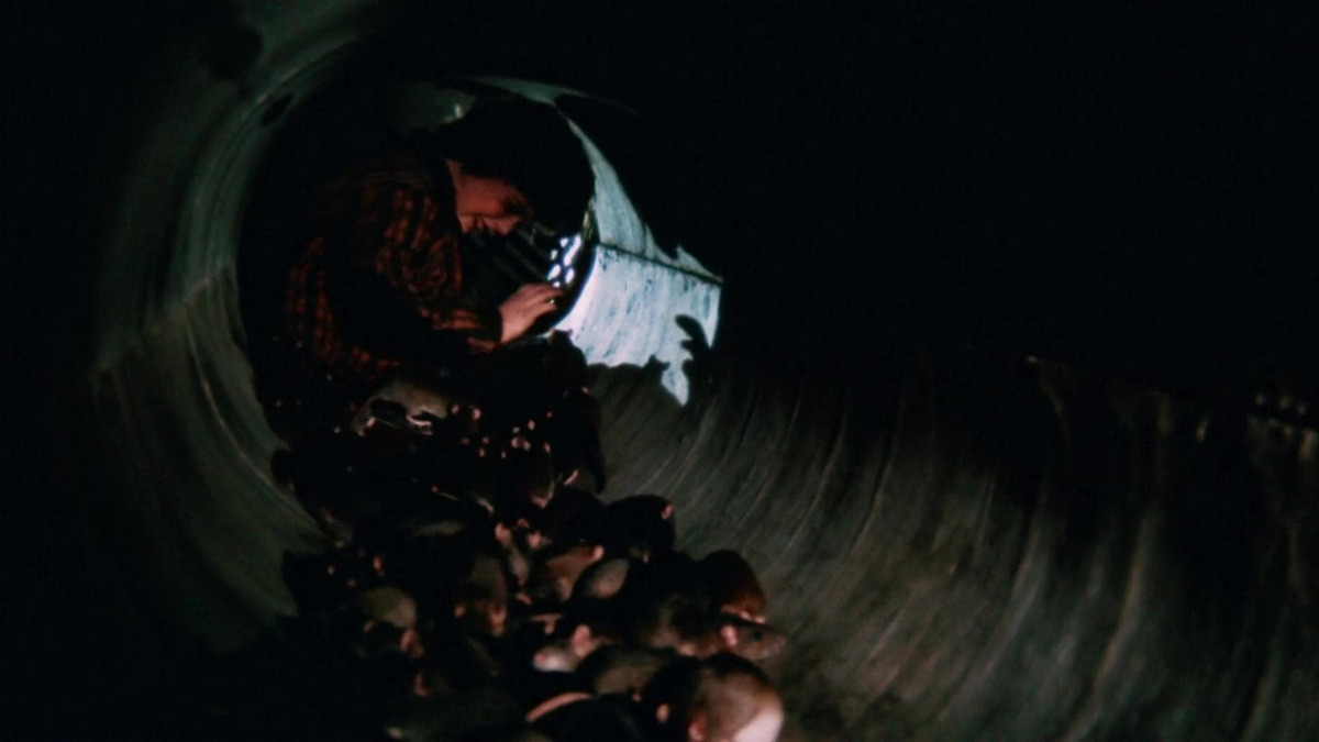 ‎Ben (1972) directed by Phil Karlson • Reviews, film + cast • Letterboxd